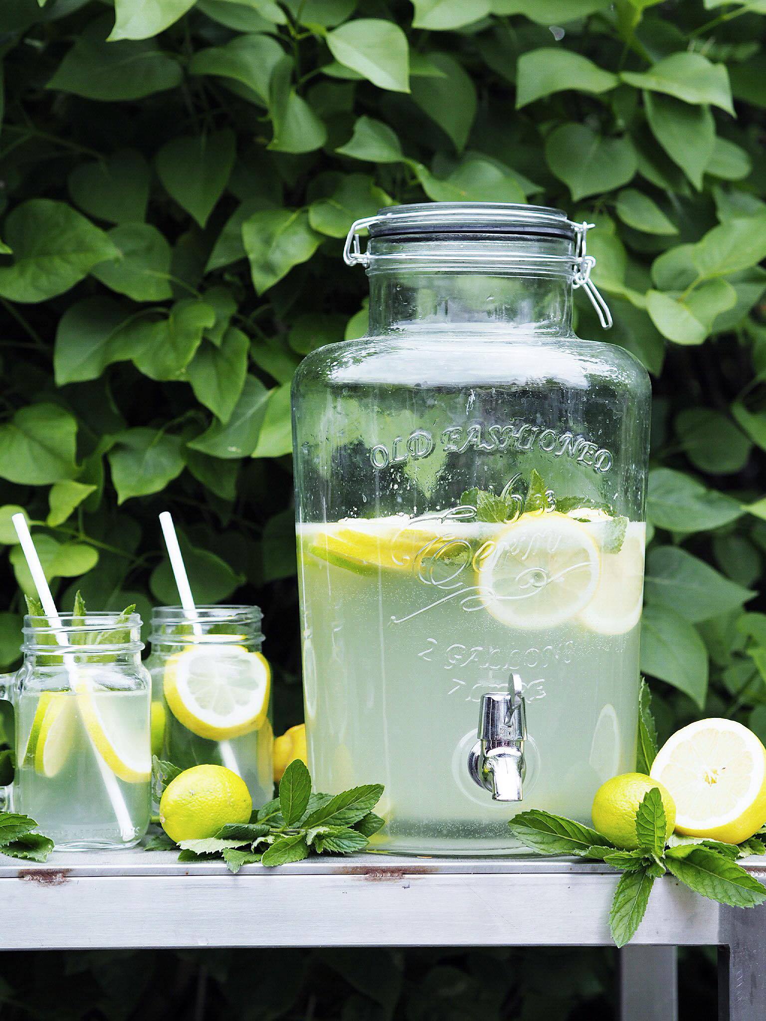 Frisk og syrlig lemonade! - Frederikke Wærens