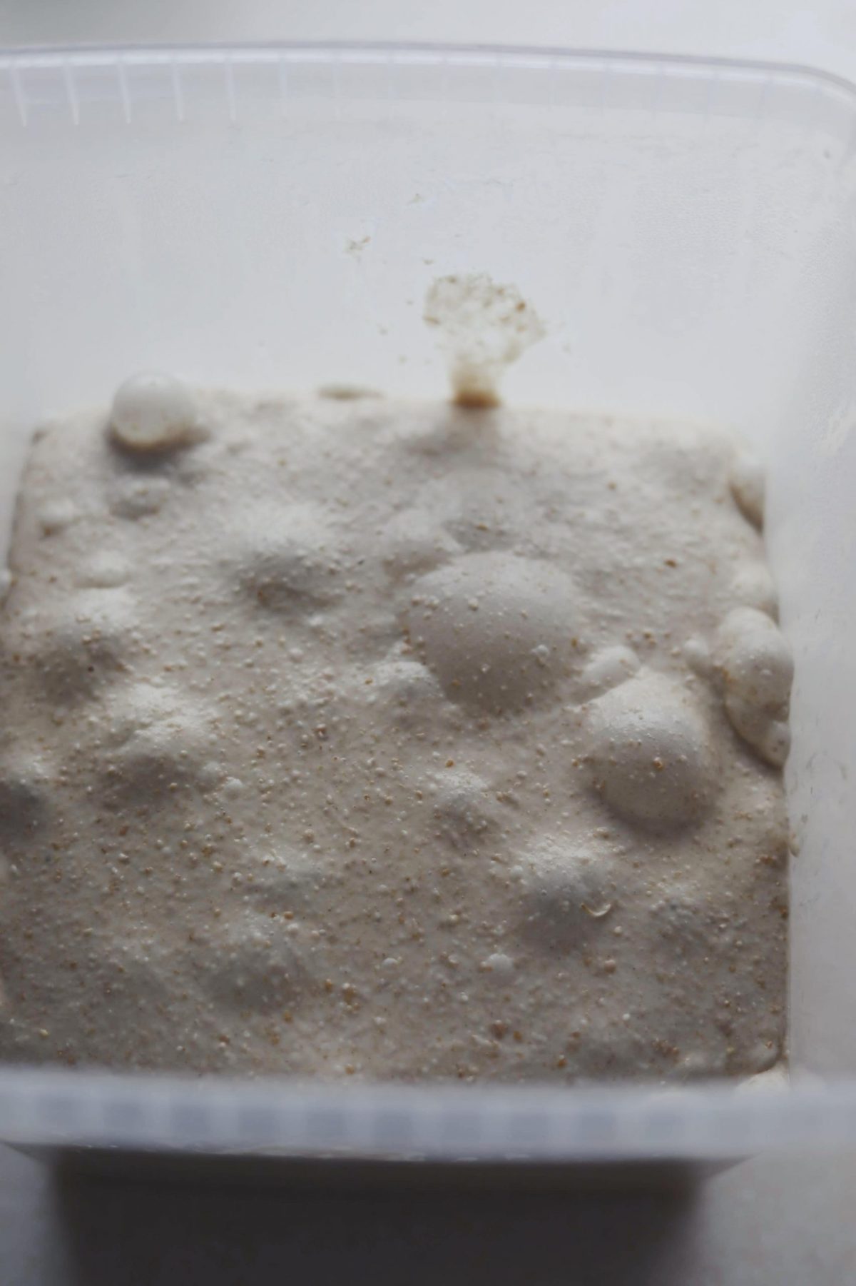 Focaccia med surdej - Opskrift på surdejsfocaccia brød med store lufthuller